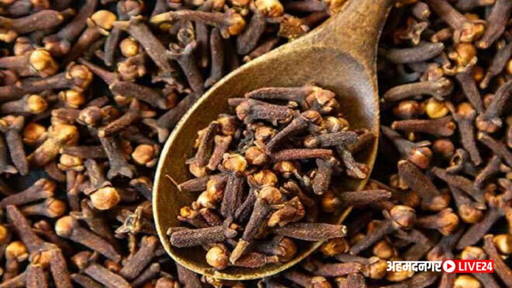Side Effects of Clove : लवंगाचे अतिसेवन ठरू शकते घातक ! वाचा सविस्तर ...