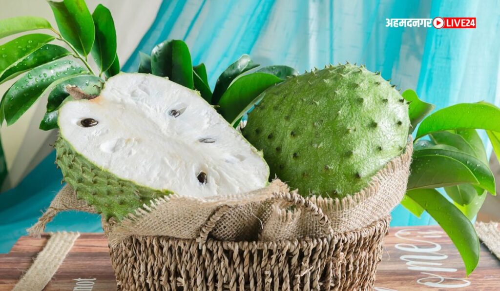 Soursop Fruit : काय आहे हनुमान फळ?, फायदे इतके की जाणून व्हाल चकित ...